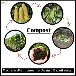 compost_cycle_poster-resize 2 – Thames Region Ecological Association